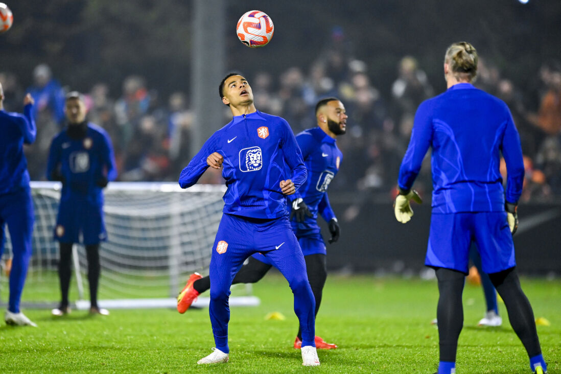 Gakpo getipt als Oranje-basisspeler: "Bezig aan sterk… | PSVFans
