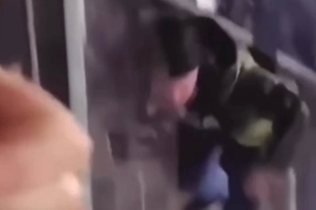 VIDEO | Anderlecht-fan breekt uit bij AZ en wordt van… | Voetbalnieuws