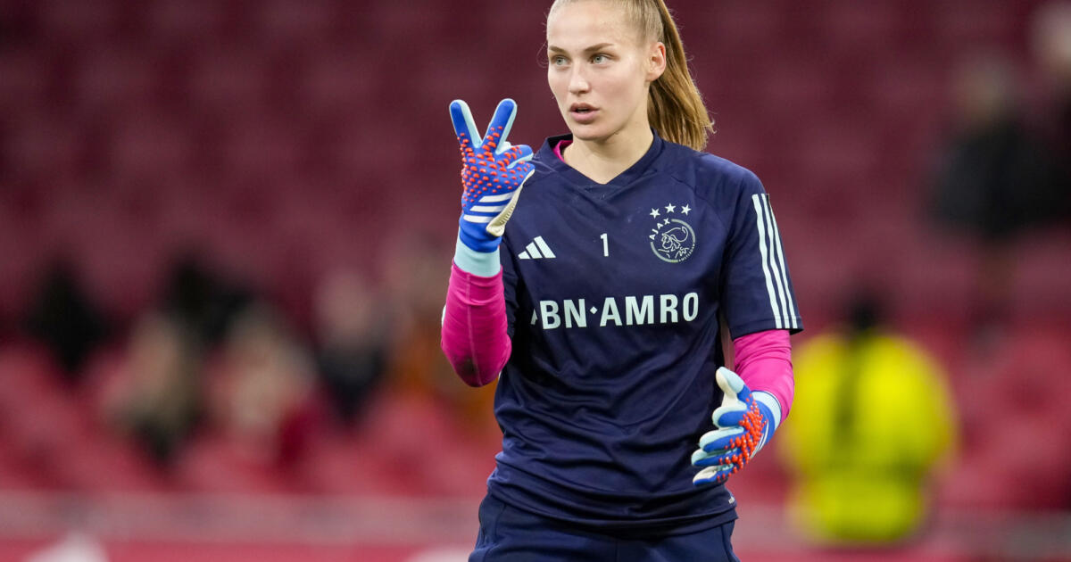 Regina van Eijk over OranjeLeeuwinnen: "Vind… | Vrouwenvoetbalnieuws