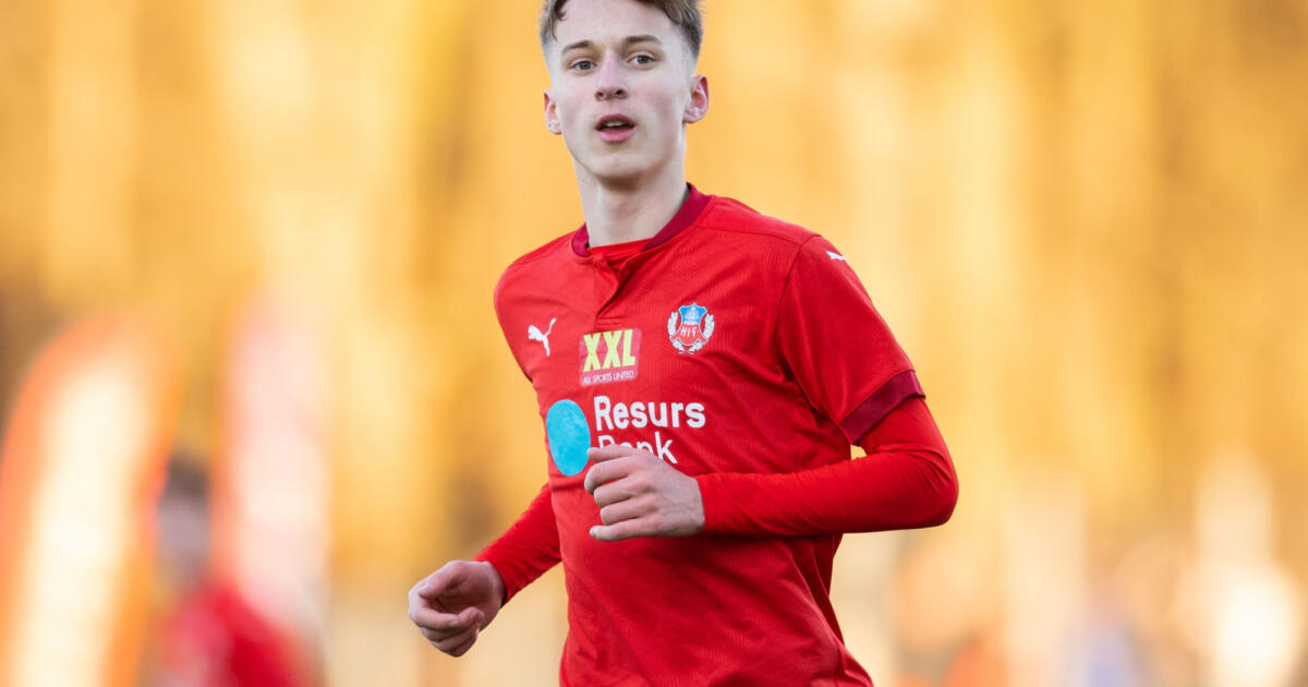 'FC Twente heeft Zweedse middenvelder van… | Twentefans.nl